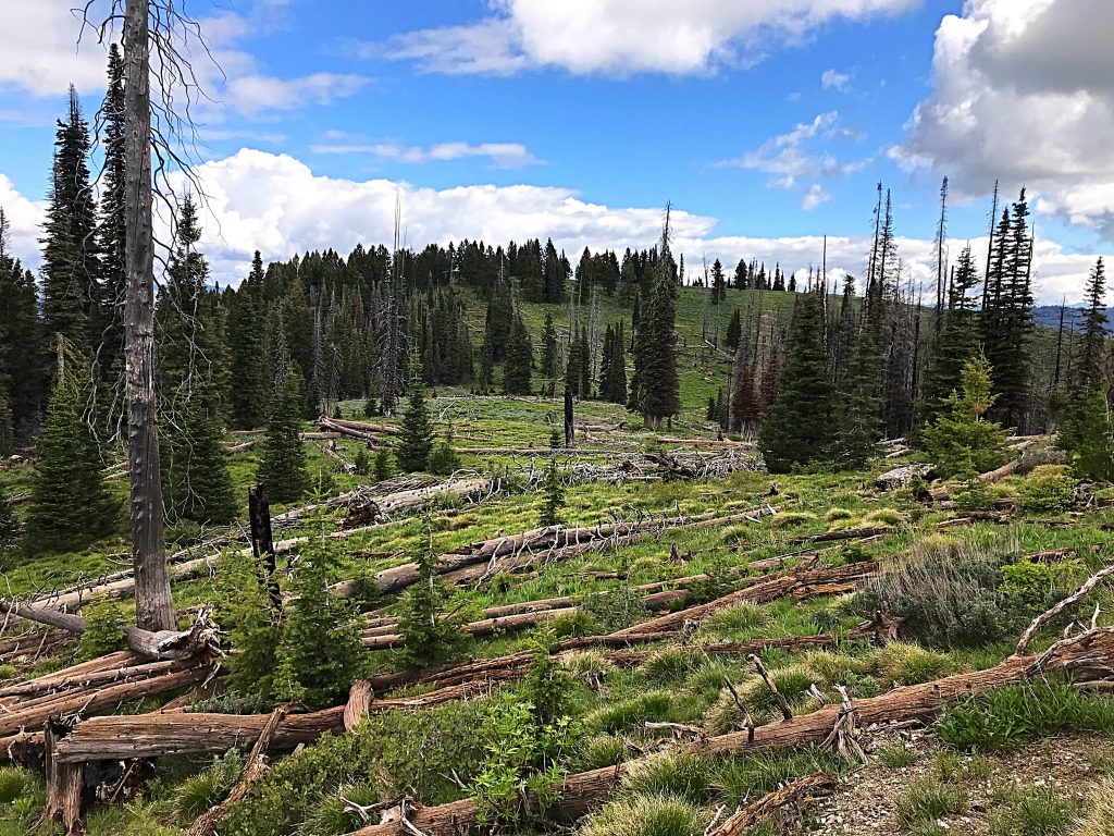 Archie Mountain - IDAHO: A Climbing Guide