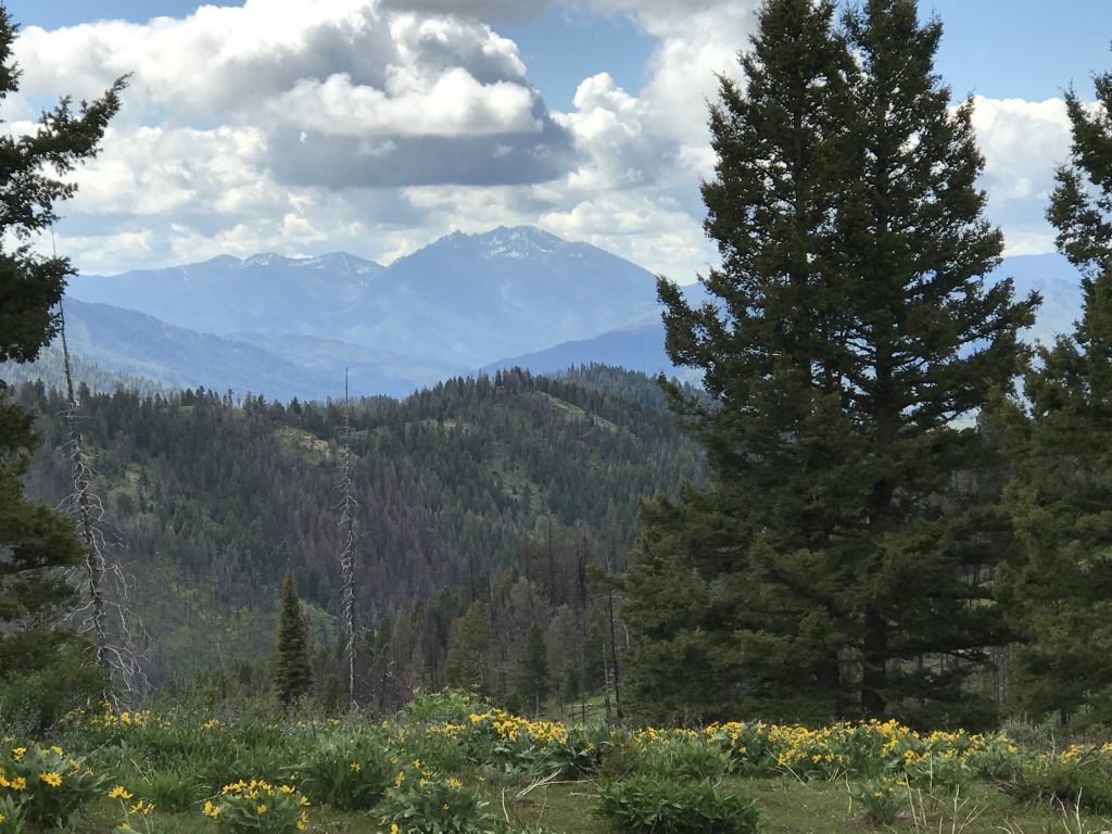 Archie Mountain - IDAHO: A Climbing Guide