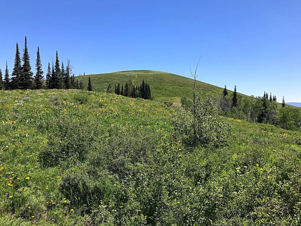 Trapper Peak - IDAHO: A Climbing Guide