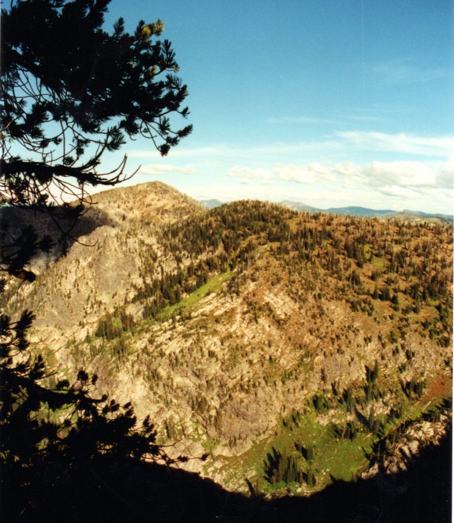 CLEARWATER MOUNTAINS - IDAHO: A Climbing Guide