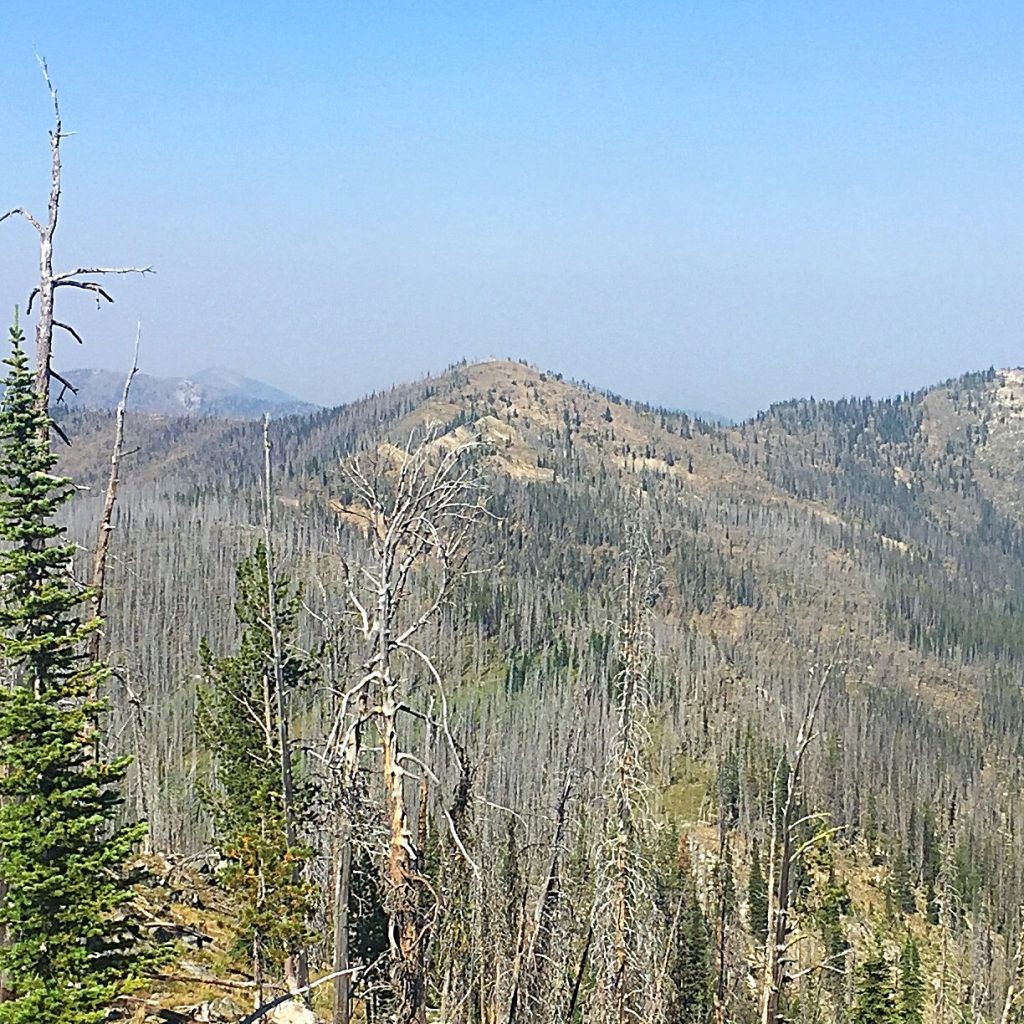 Clearwater Mountains Archives - IDAHO: A Climbing Guide