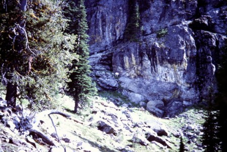 SEVEN DEVILS MOUNTAINS - IDAHO: A Climbing Guide