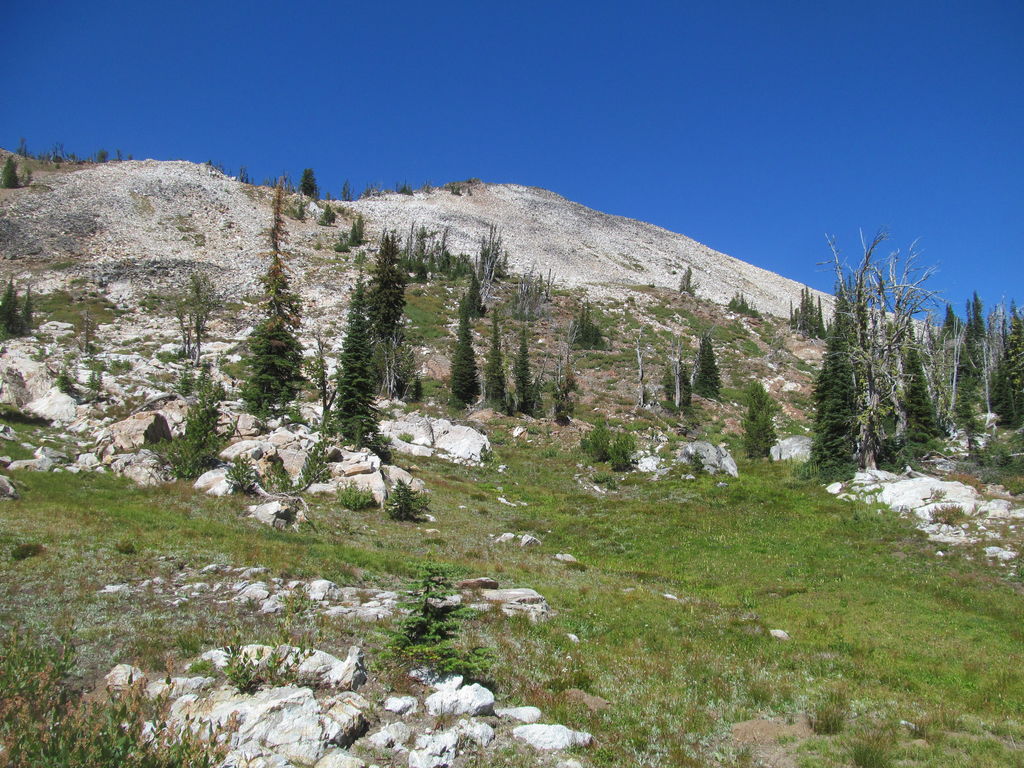 Buffalo Hump - IDAHO: A Climbing Guide